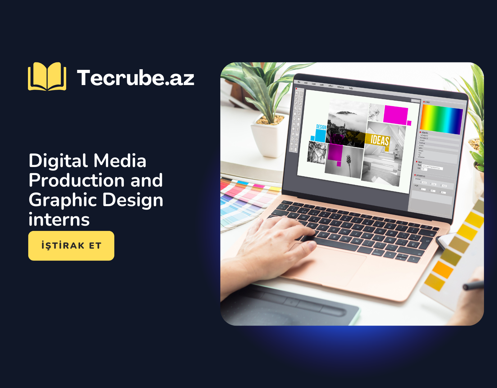 Digital Media Production and Graphic Design interns - Təcrübə.az